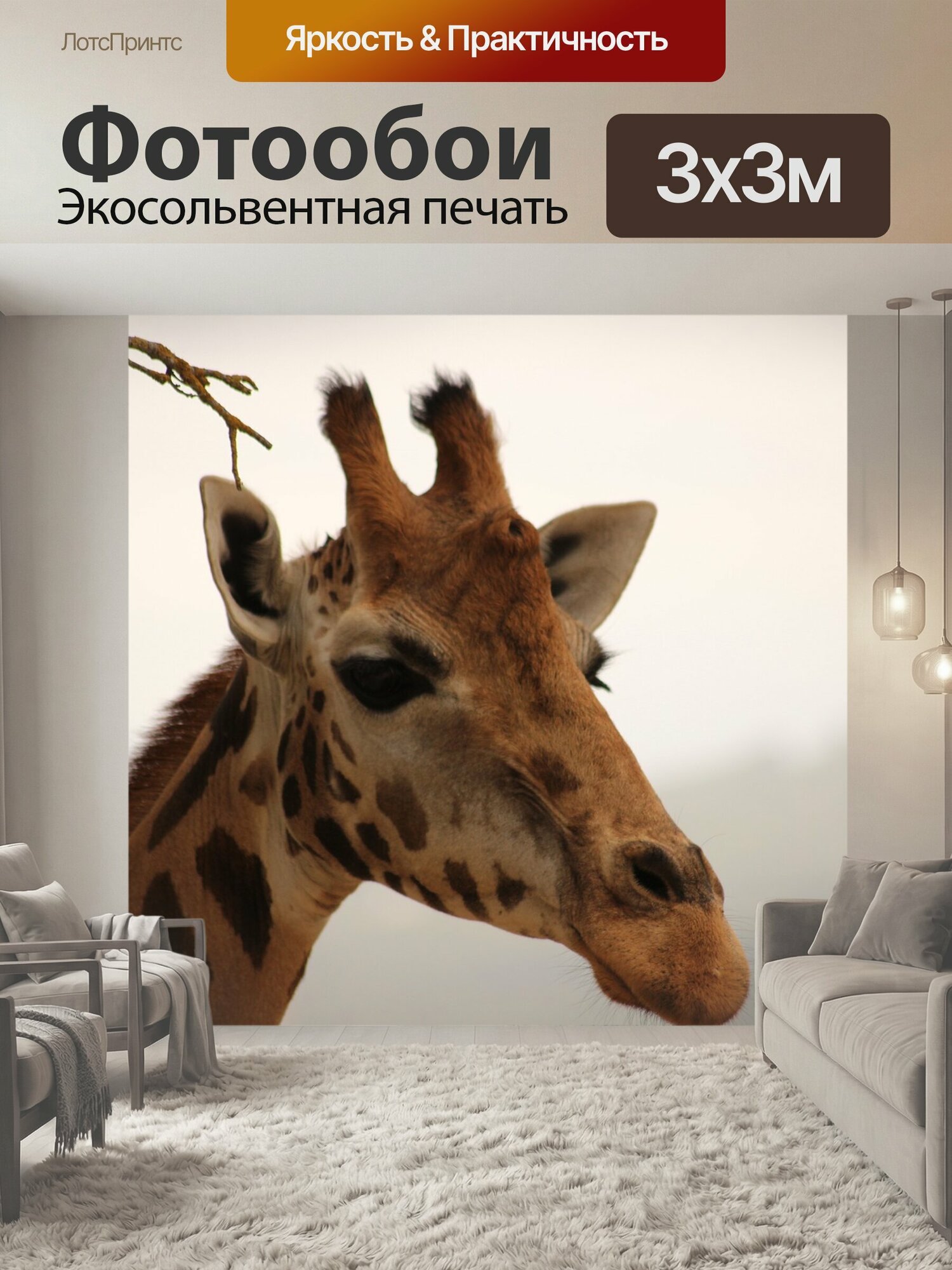 Фотообои "Жирафа, животное, голова" 300x300 см. экосольвентная печать