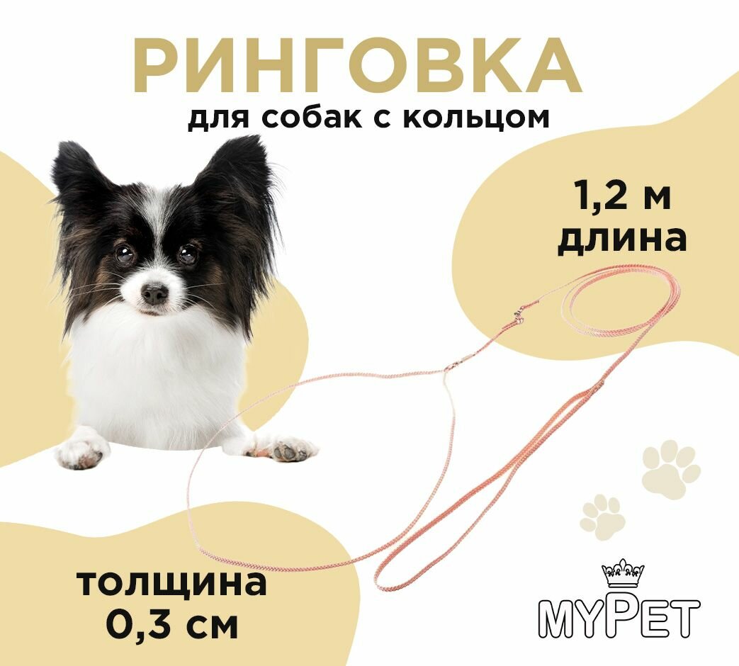 MyPet Ринговка для выставки и груминга / поводок удавка для собак с кольцом / ошейник для прогулки, бежевый