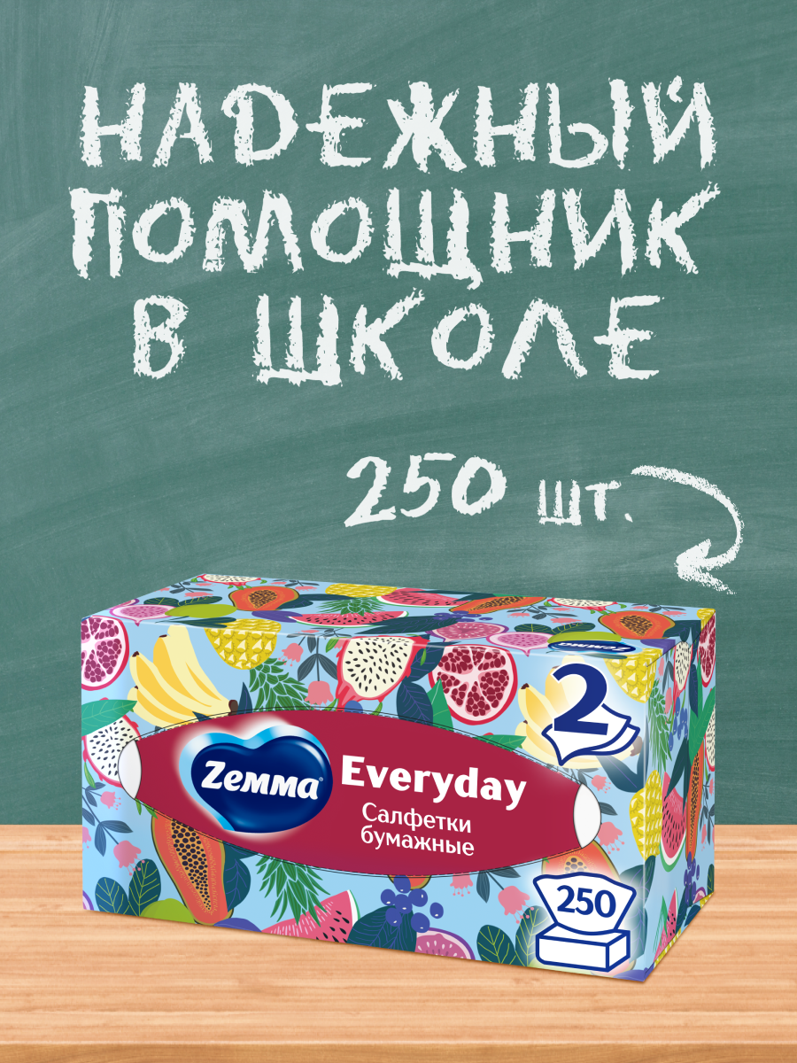 Салфетки бумажные в коробке Zemma Everyday, 2 слоя, 250 шт