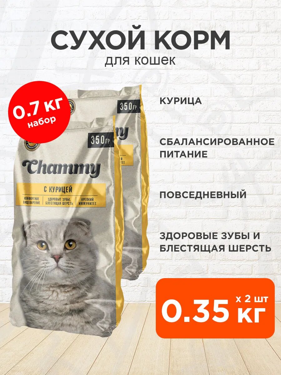 Корм сухой Chammy для взрослых кошек, курица, 350 г 2 шт