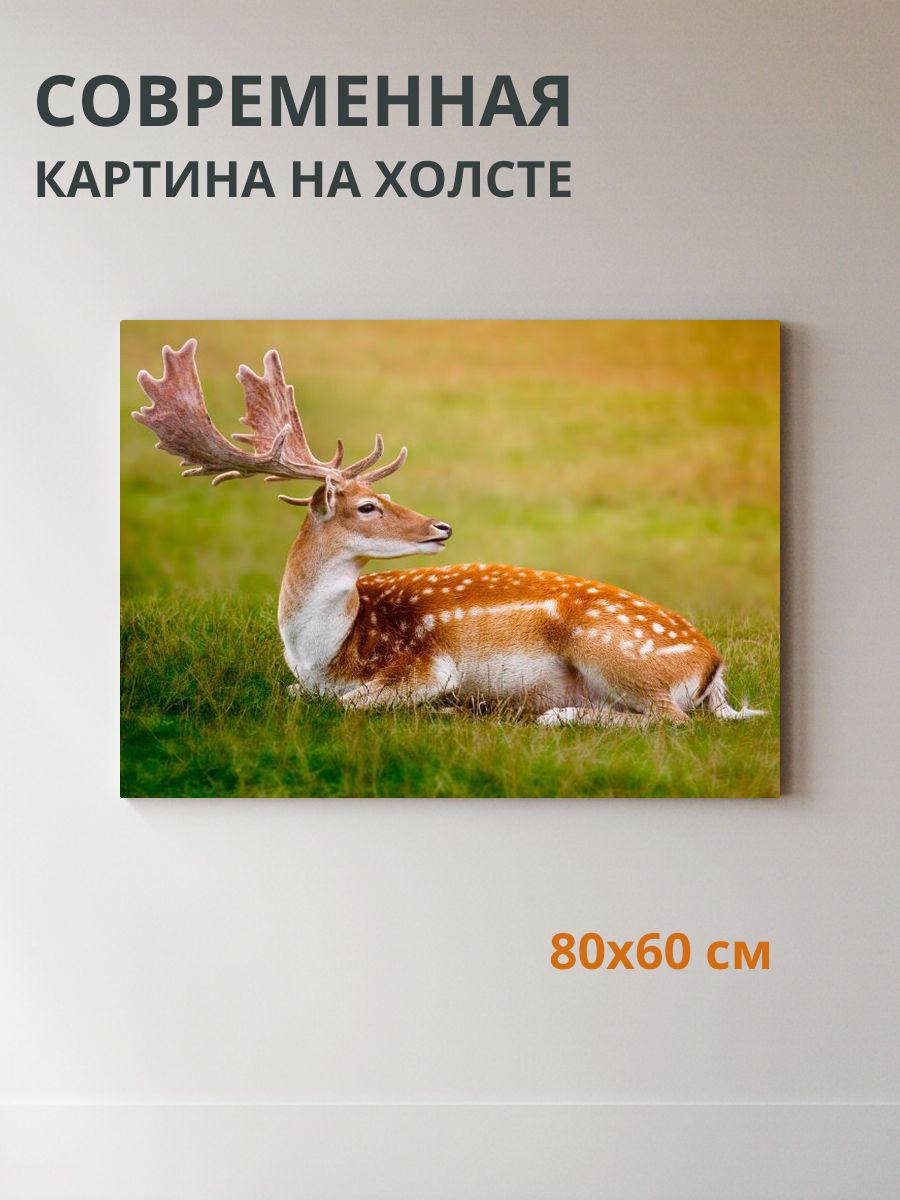 Картина на холсте Олень в лесу 80x60 см