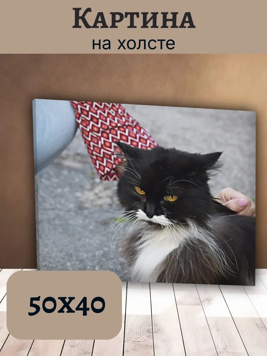 Картина Кот Кошка Cat 40x50 черно-белый шваба с желтыми