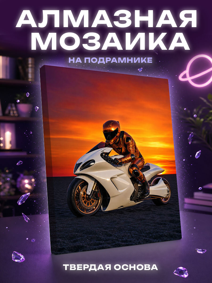 Алмазная мозаика Медный всадник на Хаябусе