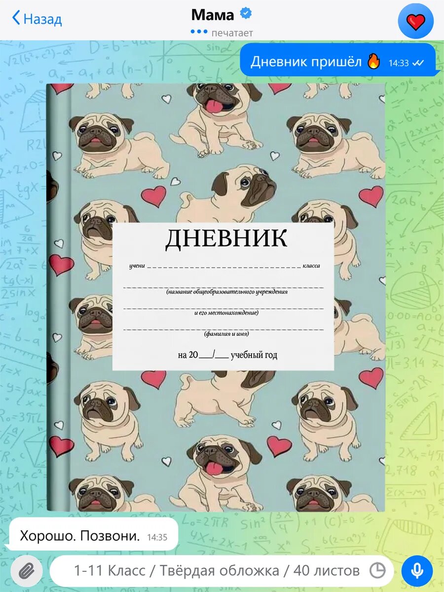 Школьный дневник с принтом Роблокс