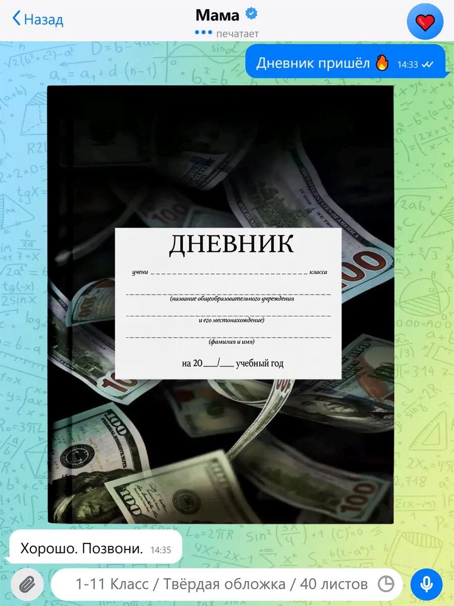 Школьный дневник с принтом Роблокс