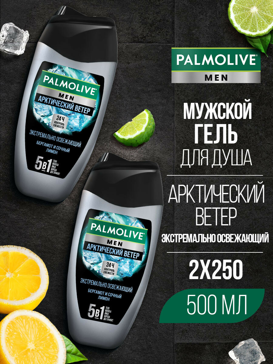 Гель для душа мужской Palmolive Арктический ветер 5в1 для тела, волос и лица 250 мл (2 шт)
