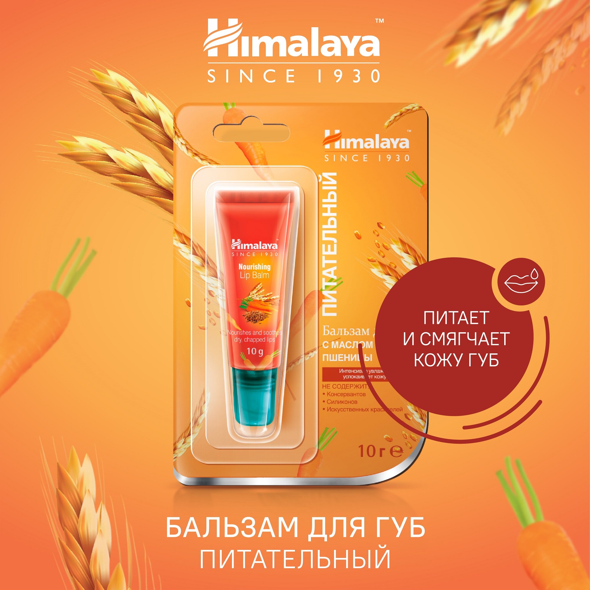 Himalaya Since 1930 Бальзам для губ питательный c маслом ростков пшеницы и семян моркови увлажняющий, 10 г