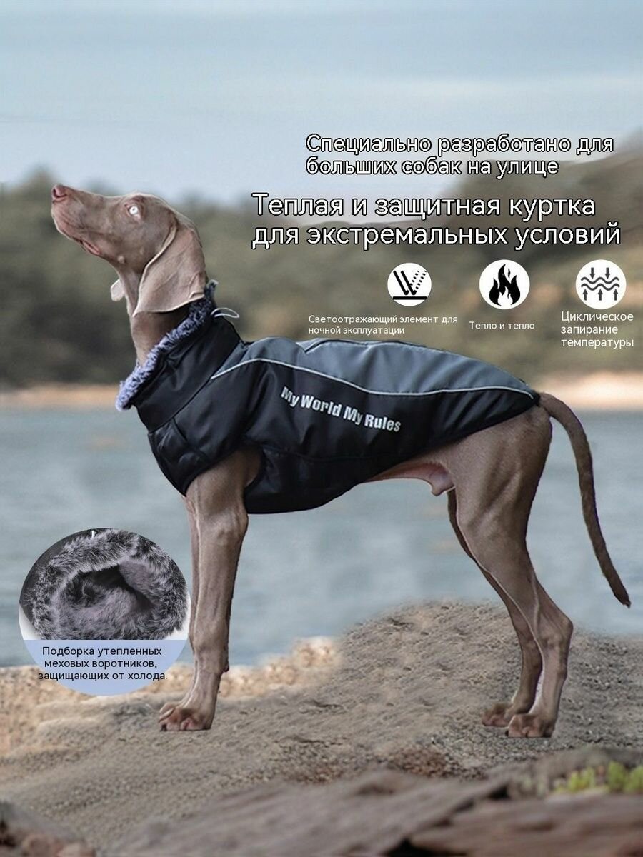 Зимняя утепленная одежда для собак крупных пород: ультра-тёплый зимний комбинезон, светоотражающий, непромокаемый