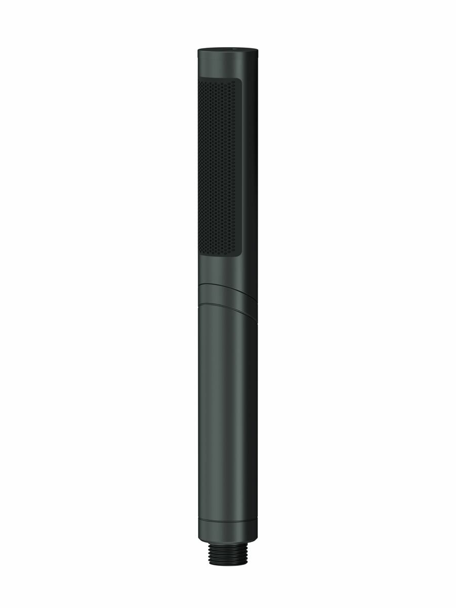 Лейка для душа AM.PM Poise, 1 режим, ручная, цвет черный матовый
