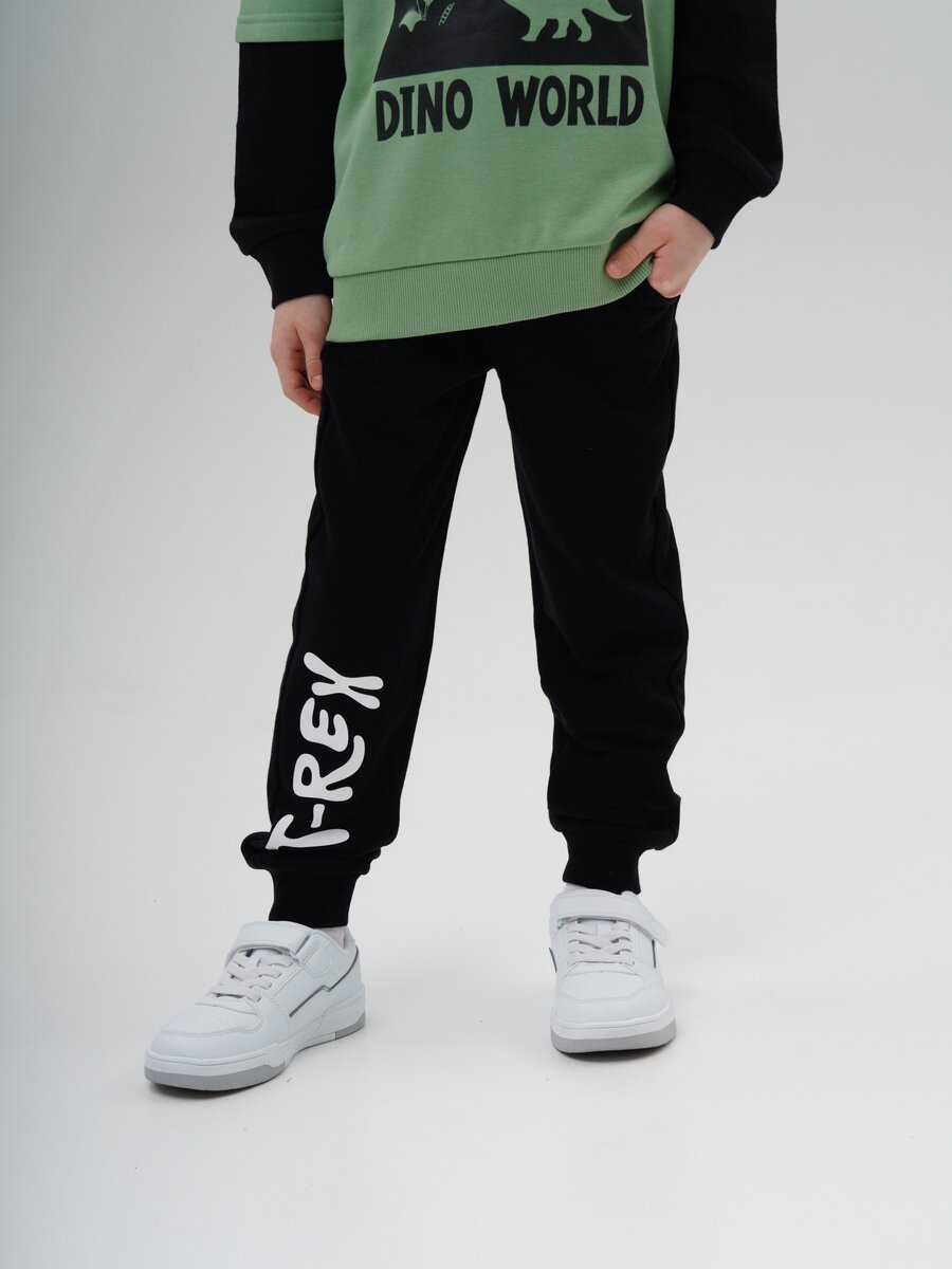 Брюки спортивные Весна-лето 2026