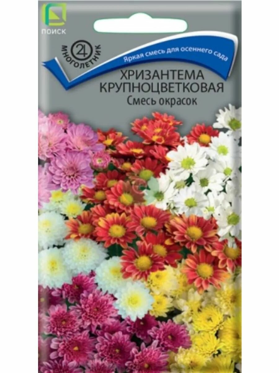 Хризантема Смесь окрасок крупноцветковая 0,05 г, Семена Поиск