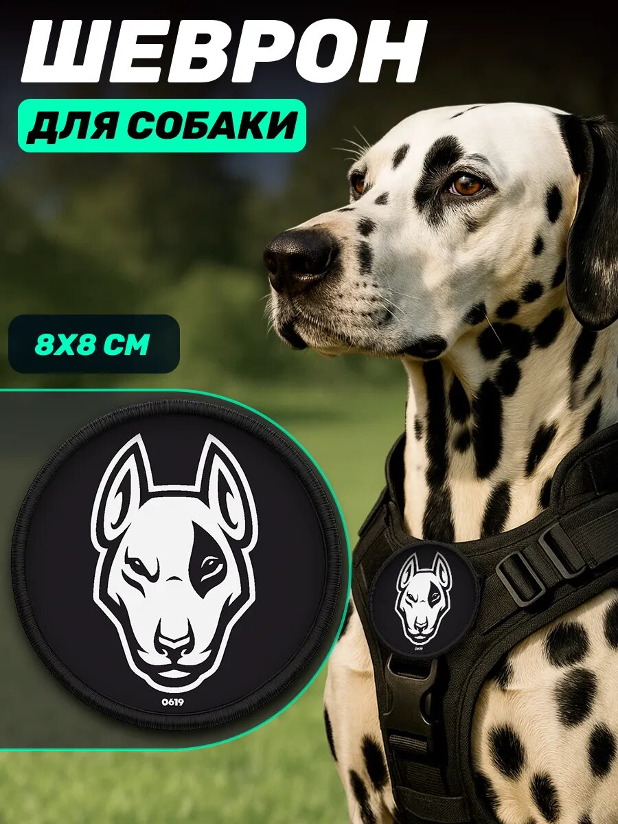 Шеврон на липучке для собак Бультерьер