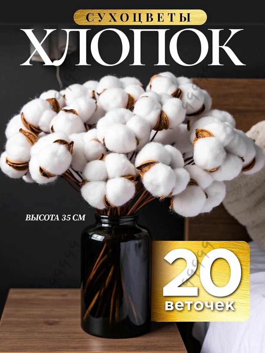 Сухоцветы Хлопок, 35 см, 20 шт
