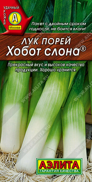 Лук порей Хобот слона