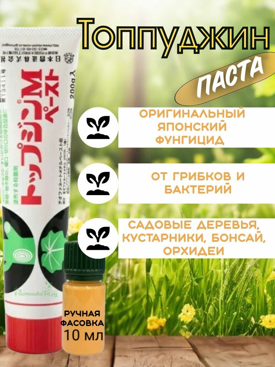 Паста Топпуджин (Toppujin M) Япония 10 г (Ручная Фасовка)