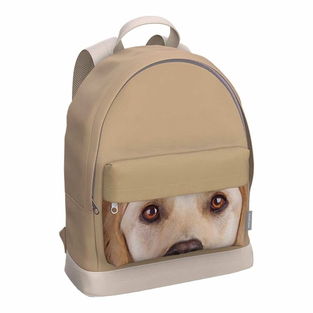 Рюкзак ErichKrause StreetLine "Beige Dog" (60905) 31*41*13см, 1 отделение, 1 карман, отд. для ноутбука, мягкая спинка
