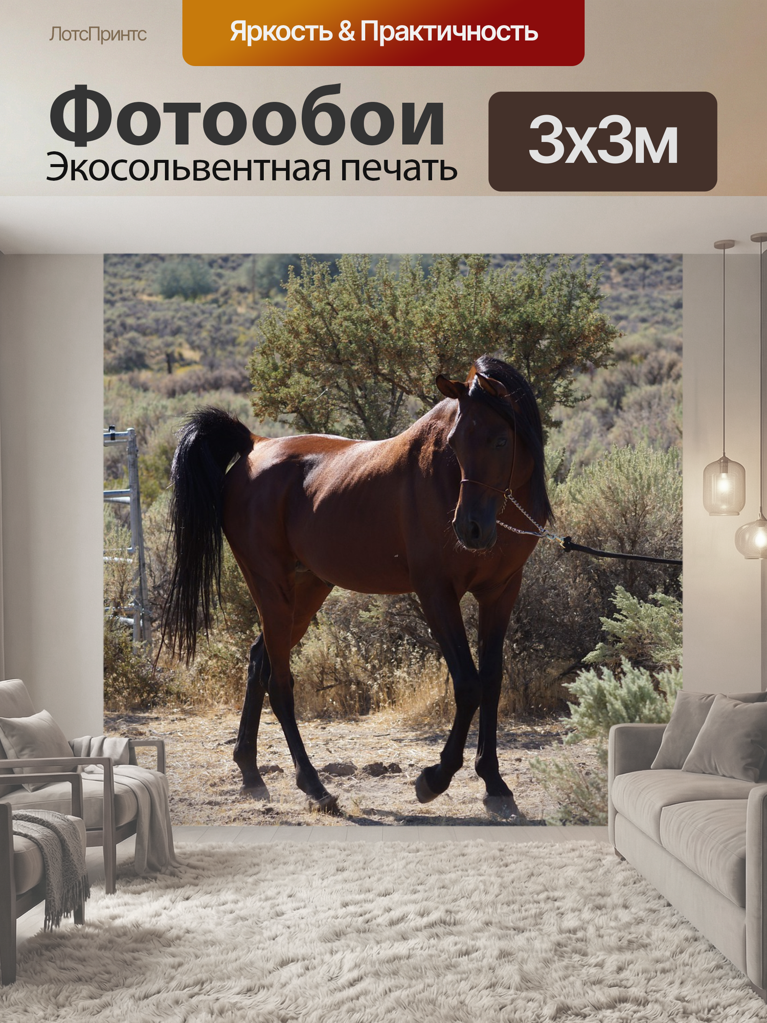 Фотообои "Арабский, лошадь, жеребец" 300x300 см. экосольвентная печать