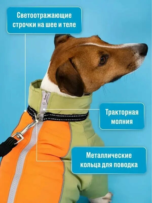 Утепленный комбинезон для собак девочек — фото 1