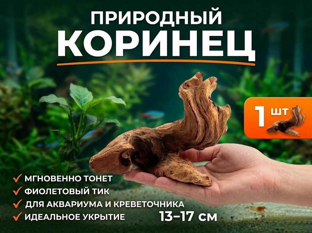 Натуральное коряги Фиолетовая тиковая коряга, подходящая для аквариумов и террариумов, 13 17 см, 1 штука.