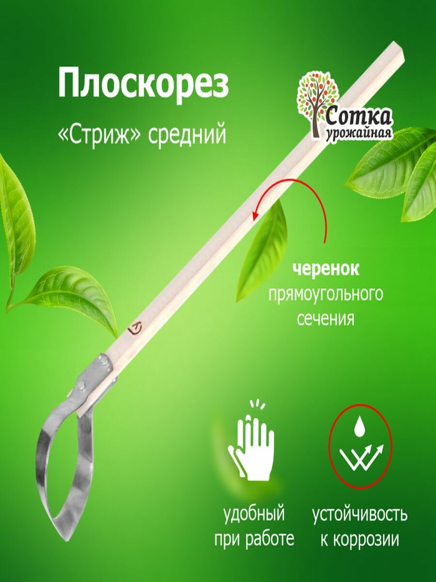 Плоскорез Стриж средний "Урожайная сотка" из нержавеющей стали с крепежом и деревянным черенком