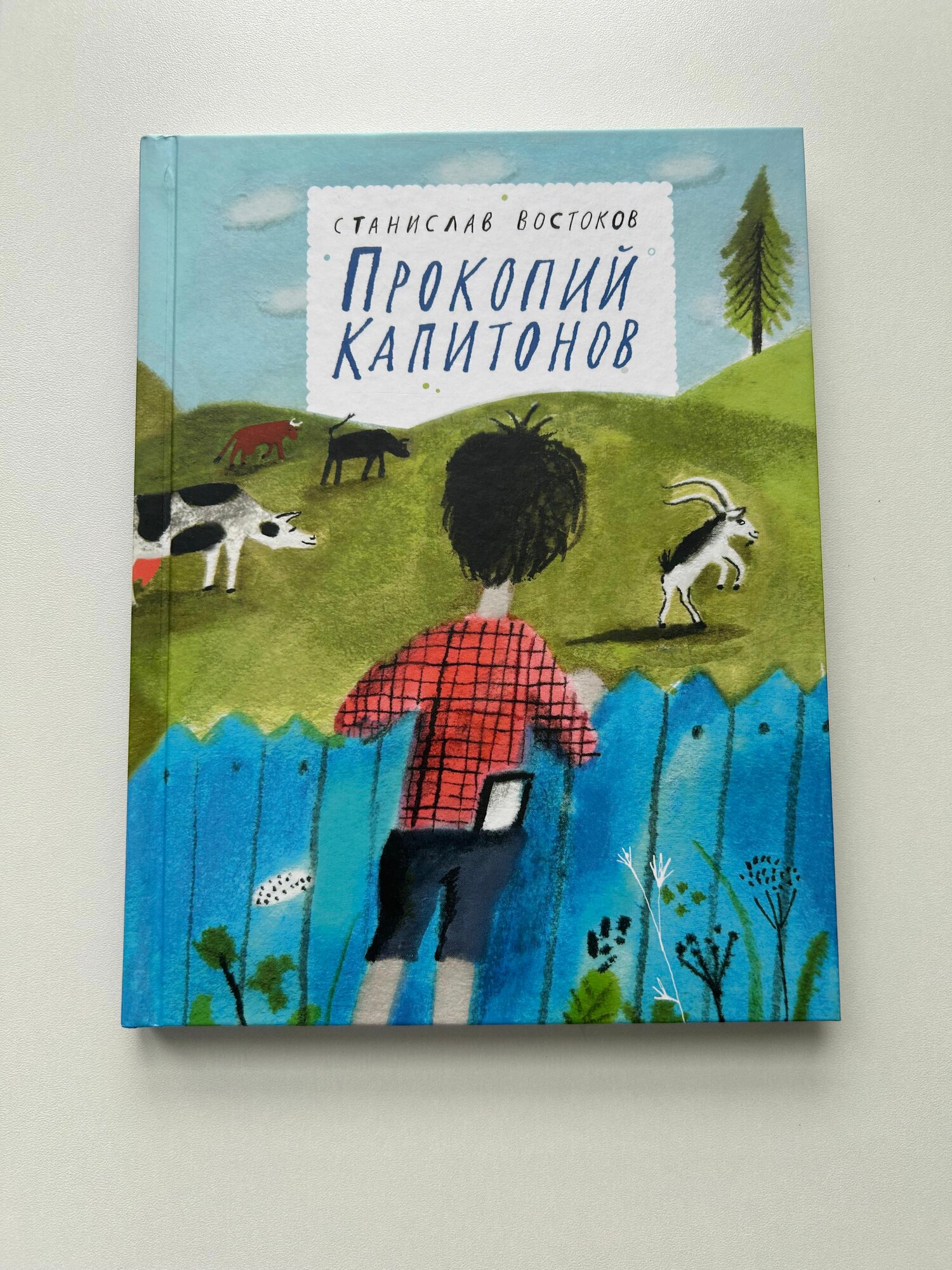 Книга Прокопий Капитонов . Повесть-сказка. Художник Катя Шумкова. Издание 2020 года (second-hand книга)