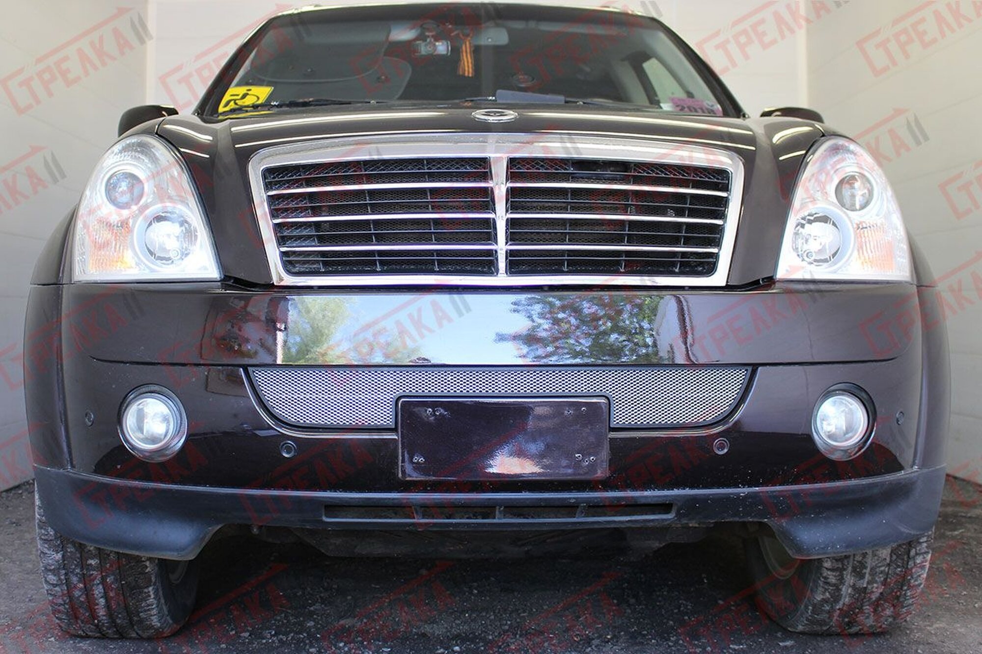 Защитная сетка радиатора с окантовкой и защелками для Ssang Yong Rexton (II) 2006-2012, хром