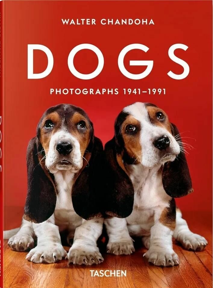 Dogs. Photographs 1941–1991. Walter Chandoha.