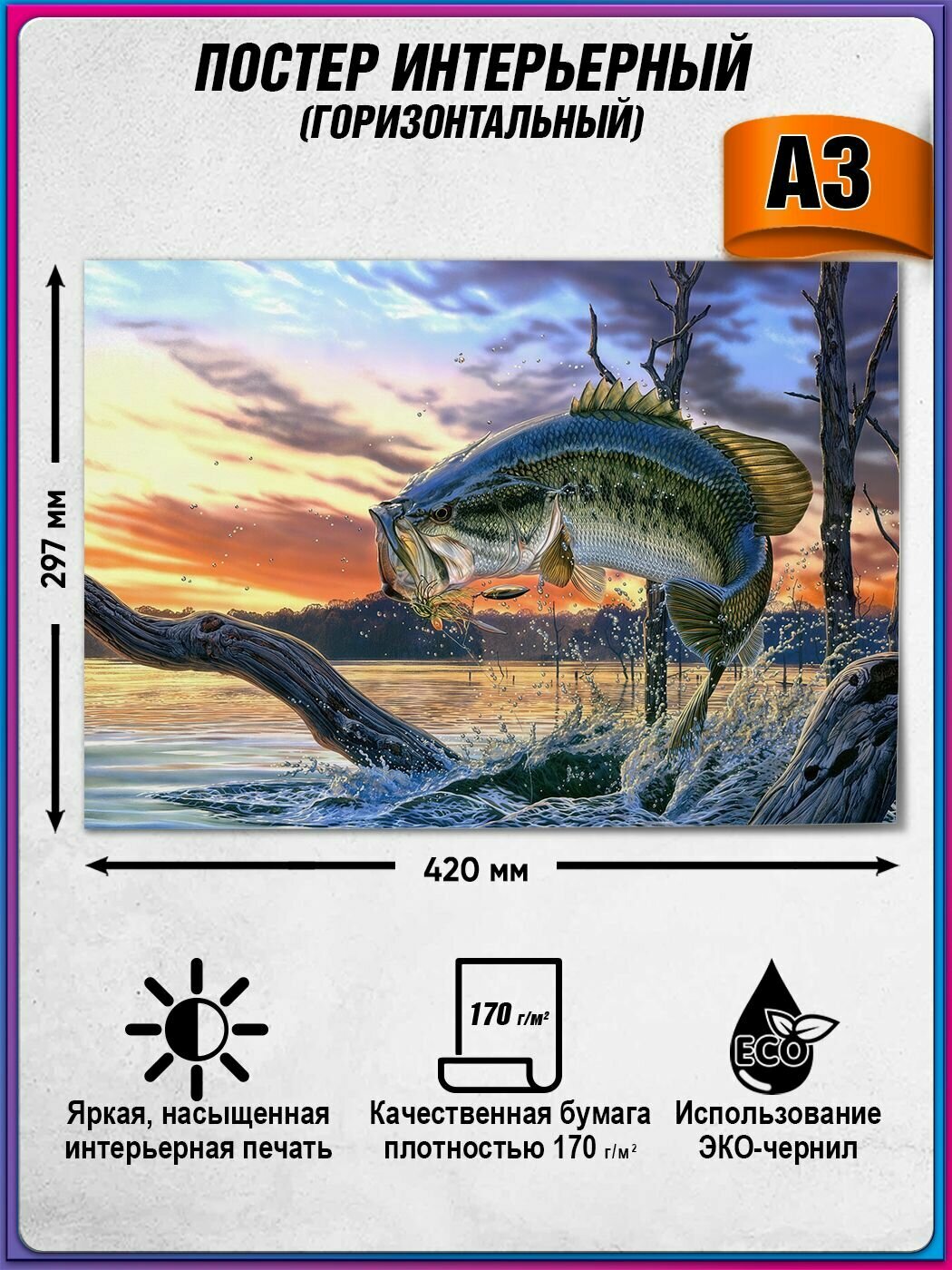 Постер интерьерный "Окунь", плакат, подарок на День рыбака / А-3 (42x30 см.)