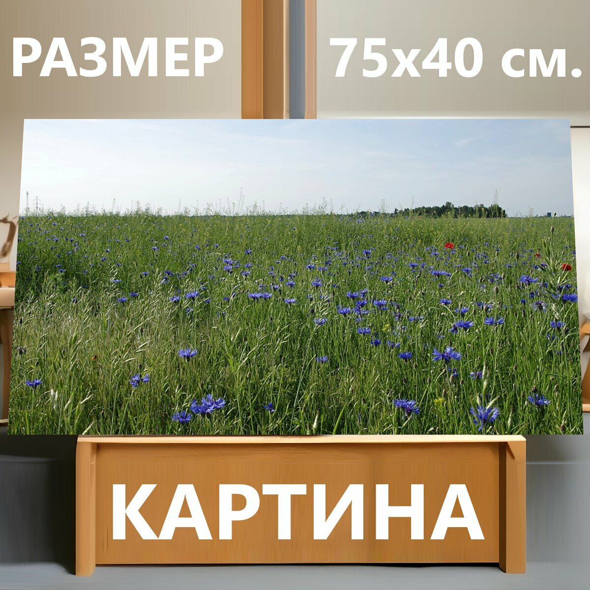 Картина на холсте "Васильки, поле, луг" на подрамнике 75х40 см. для интерьера