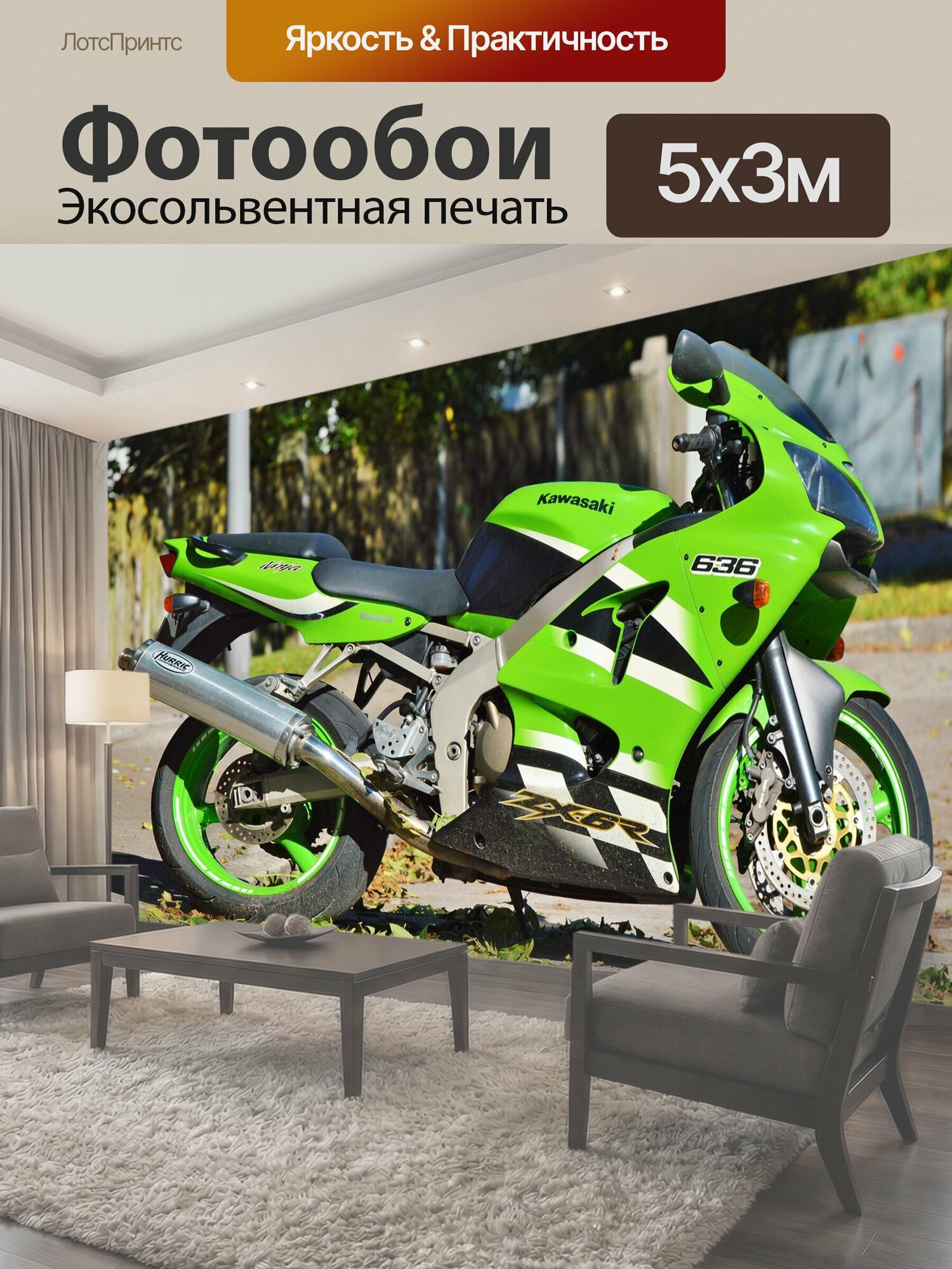 Фотообои "Мотоцикл, кавасаки, zx6r" 500x300 см. экосольвентная печать