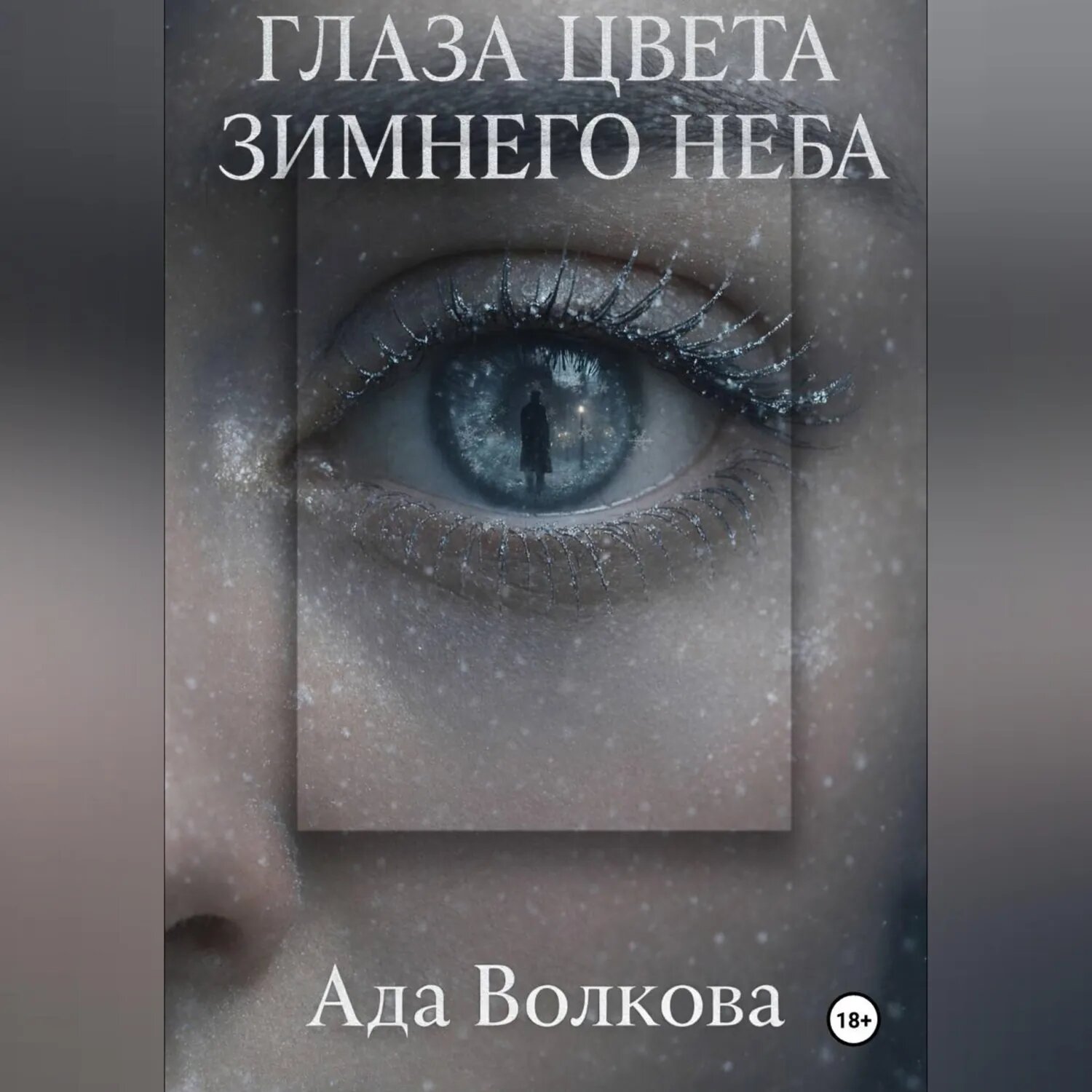 Глаза цвета зимнего неба [Аудиокнига]