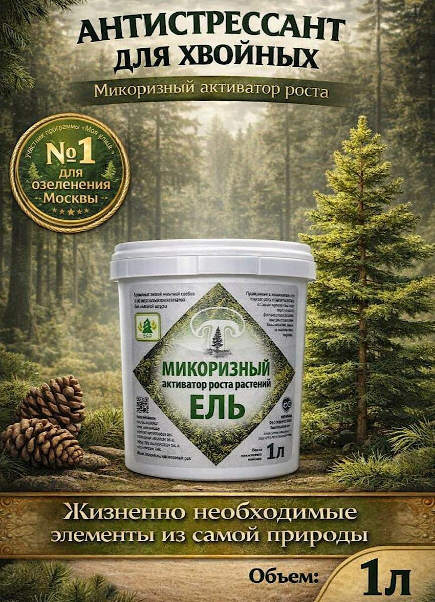 Микоризный активатор роста для хвойных растений. Для ели. Микобакс