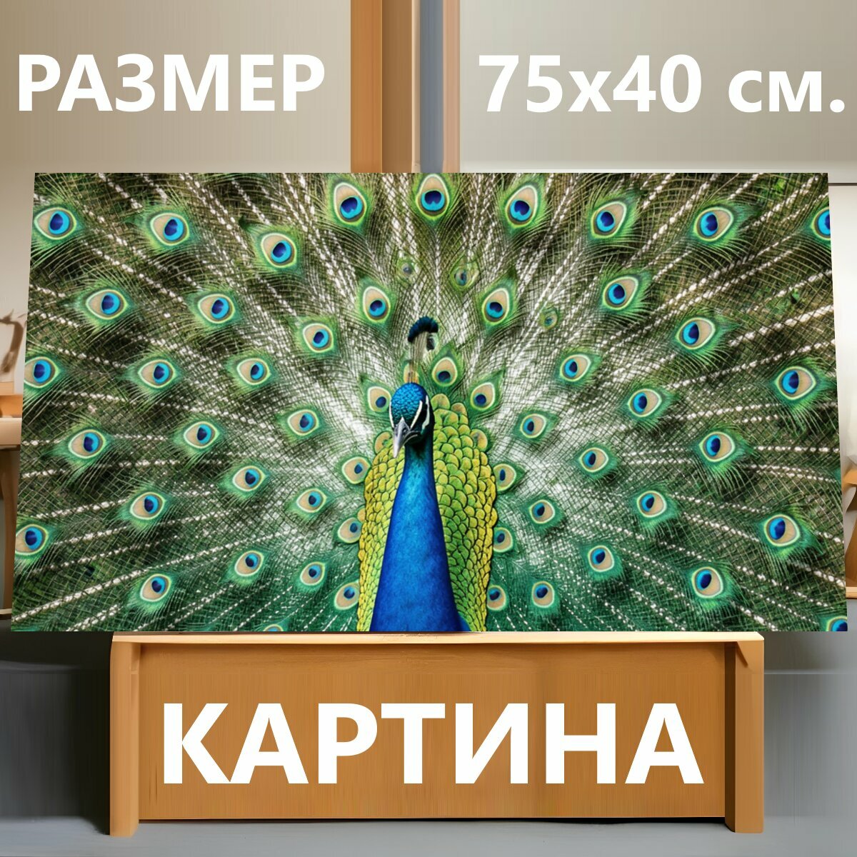 Картина на холсте "Павлин с распущенным хвостом. Величественная экзотическая птица с роскошным веерообразным оперением, бирюзово-синие и." на подрамнике 75х40 см. для интерьера