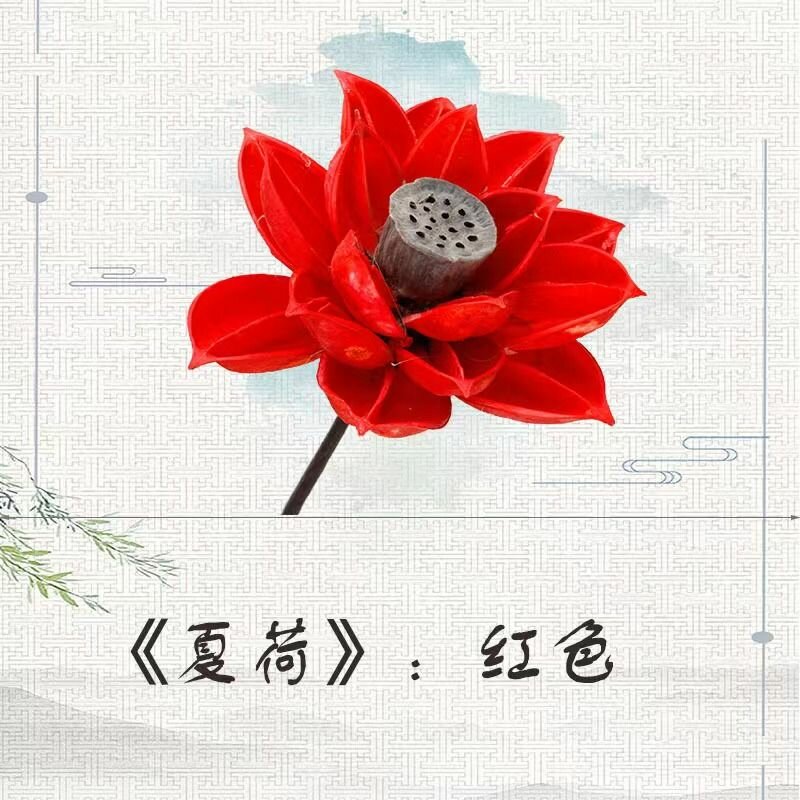 Сушёный цветок лотоса