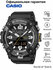 CASIO