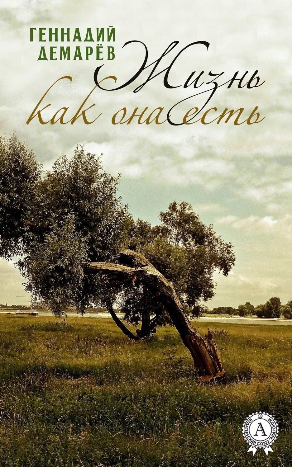 Жизнь как она есть [Цифровая книга]
