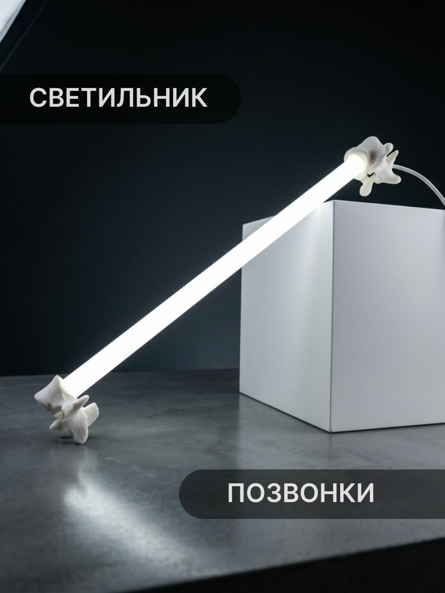 Ночник светильник декоративный Elmarto Лампа с Позвонками, белый, светодиодный