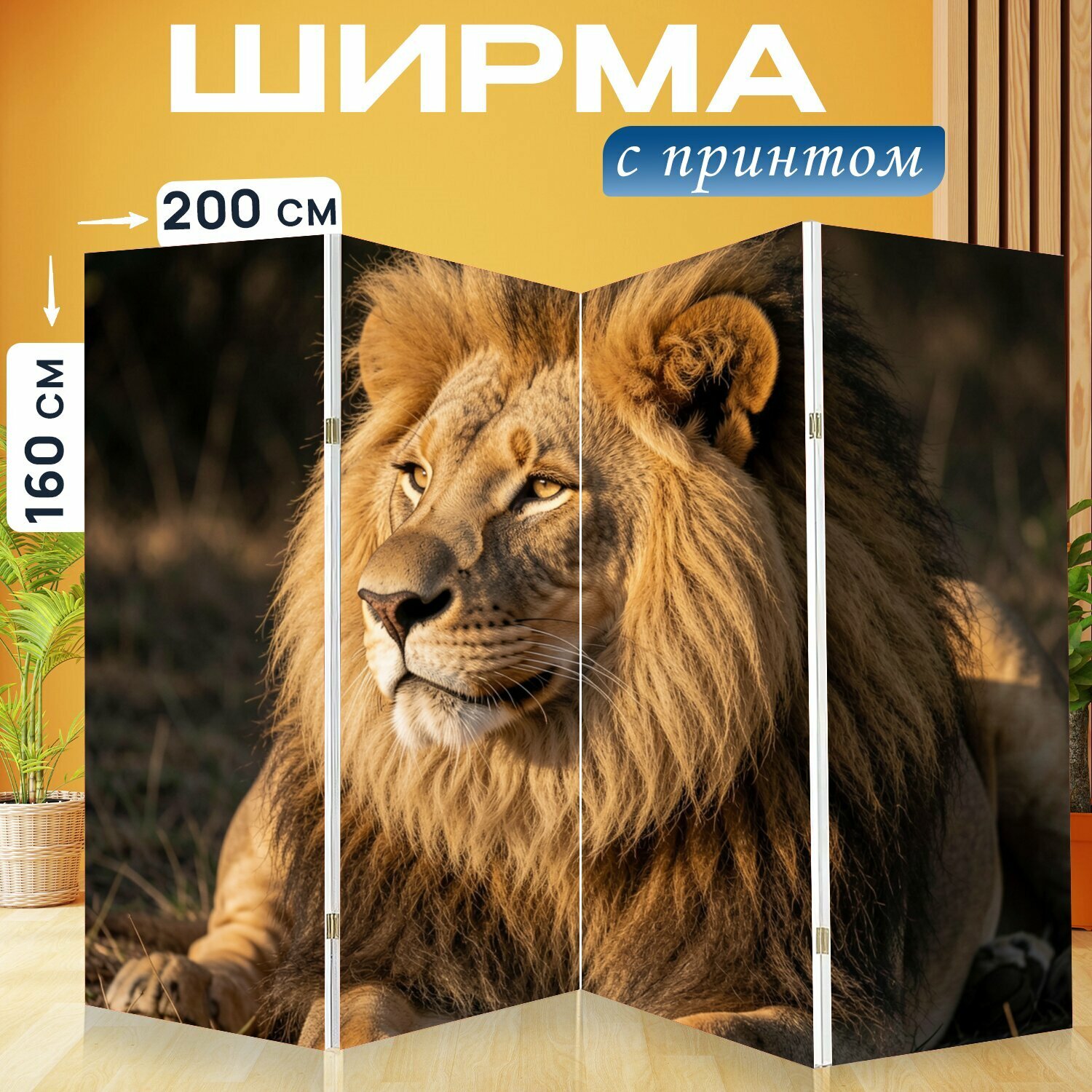 Ширма "Лев в саванне на отдыхе. Величественный африканский хищник с пышной гривой лежит в траве, теплые." перегородка для зонирования комнаты с принтом 200x160 см. на холсте