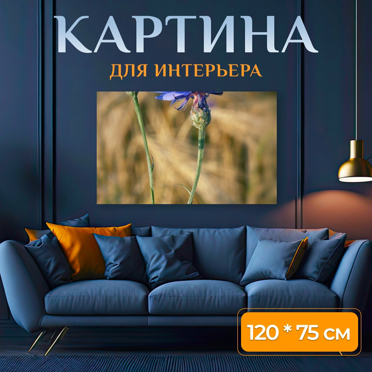 Картина на холсте "Васильковый, полевой цветок, пшеничное поле" на подрамнике 120х75 см. для интерьера