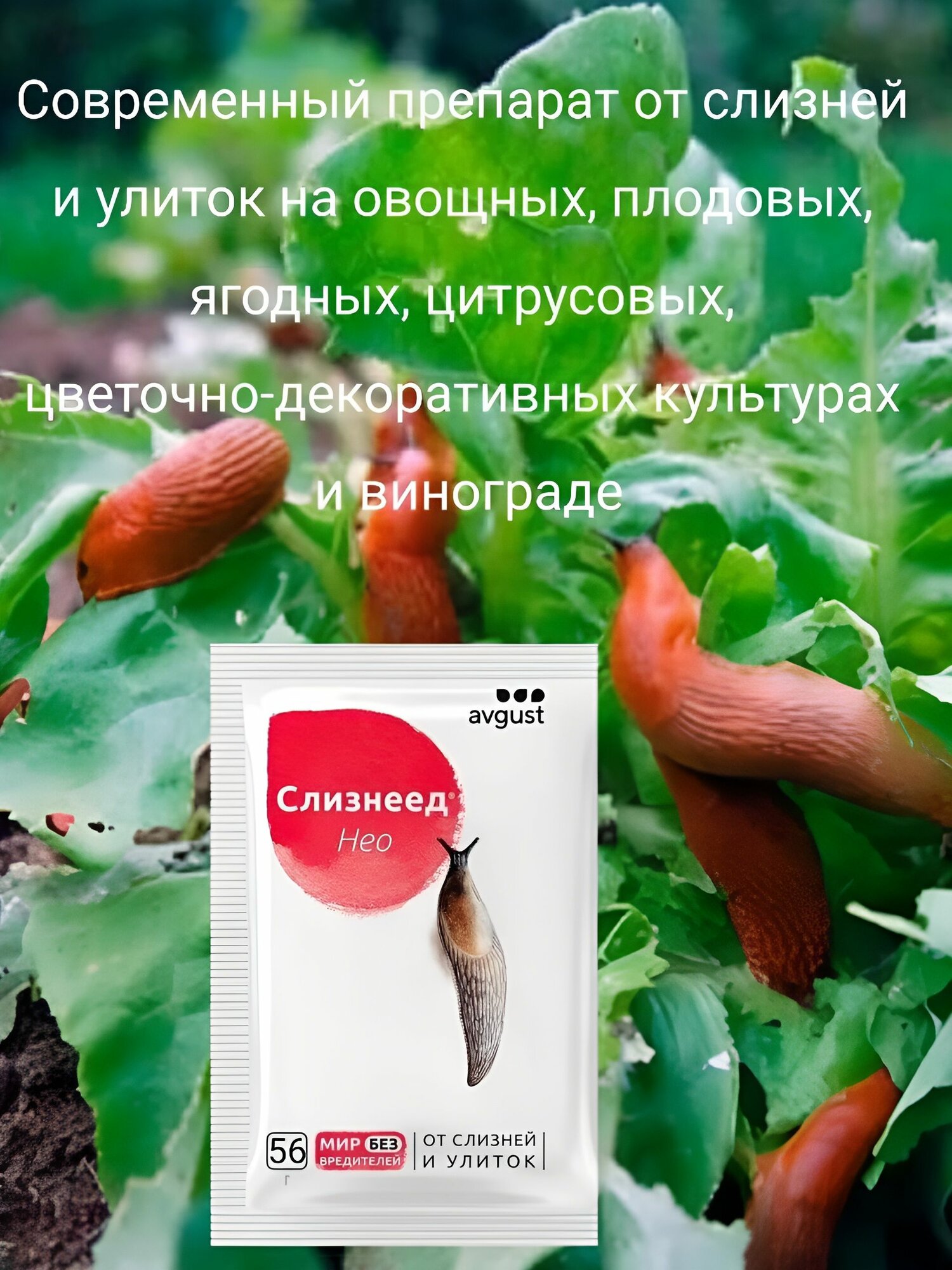 Слизнеед НЕО 56г