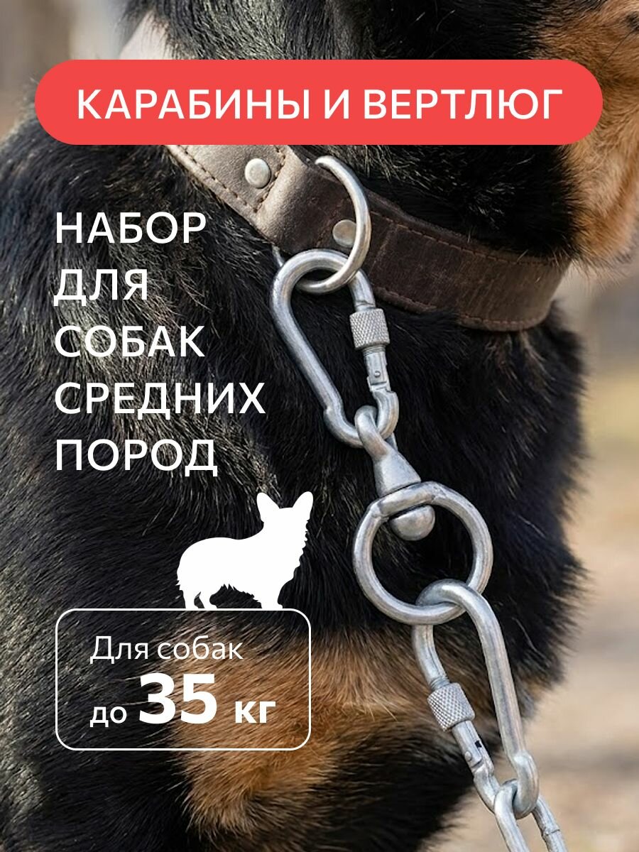 Карабины усиленные для собак средних пород с вертлюгом для цепи, карабин DIN 5299D 5 мм с муфтой 2 шт и вертлюг №6 для привязи до 35 кг, фурнитура для ошейников и поводков