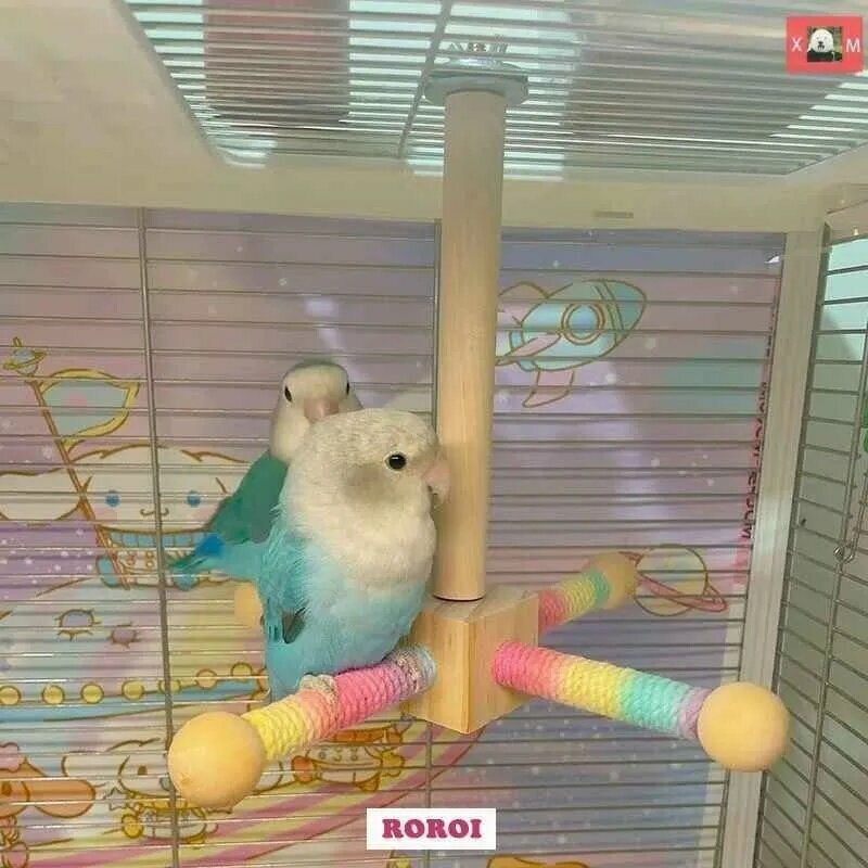 Жёрдочка для попугая из дерева, вращающаяся игрушка