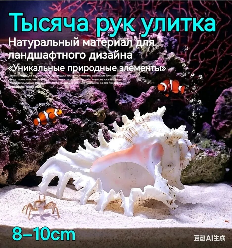Ракушка морская, натуральная Мурекс, " Белая невеста" 9-10см./декорация для аквариума