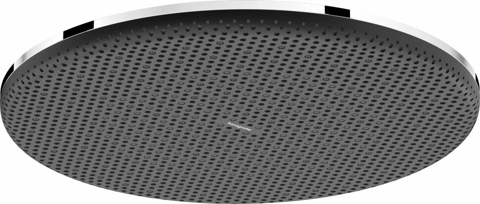 Верхний душ Hansgrohe Raindance Alive S 24520000 300 мм, хром