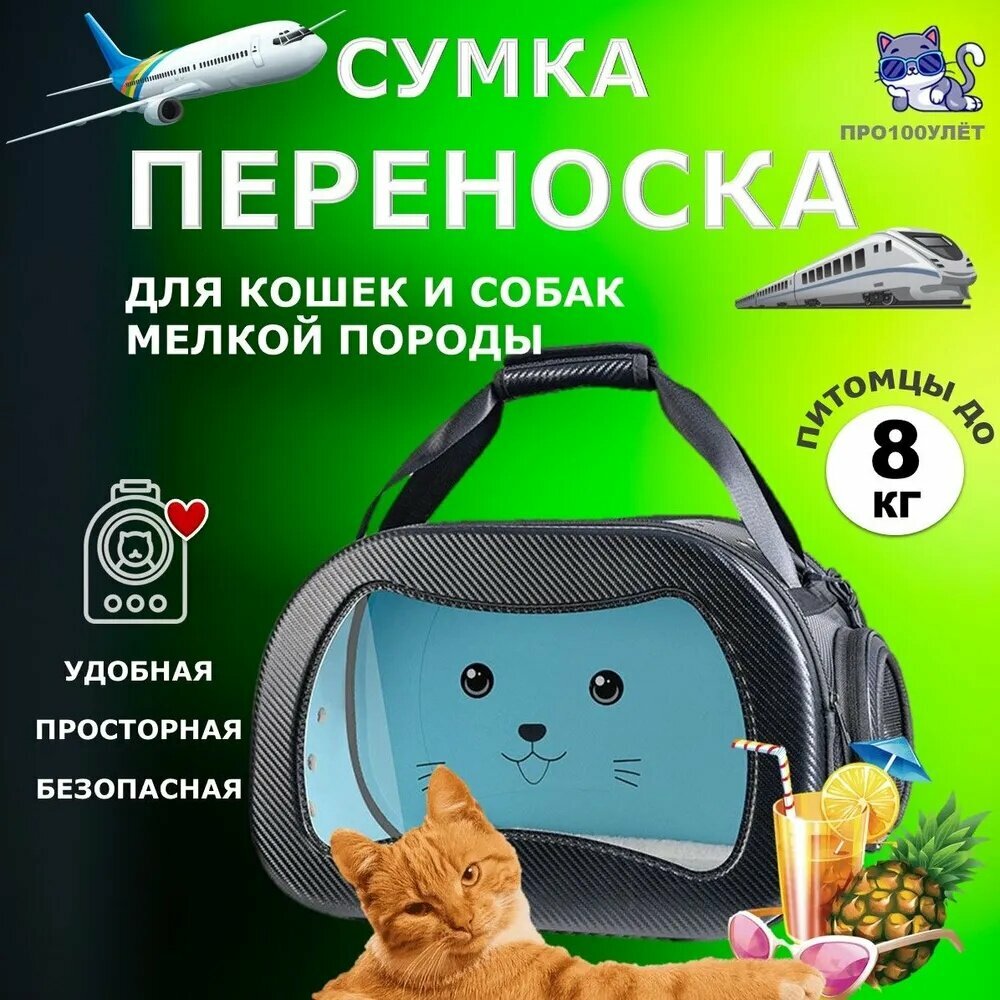 Переноска — фото 1