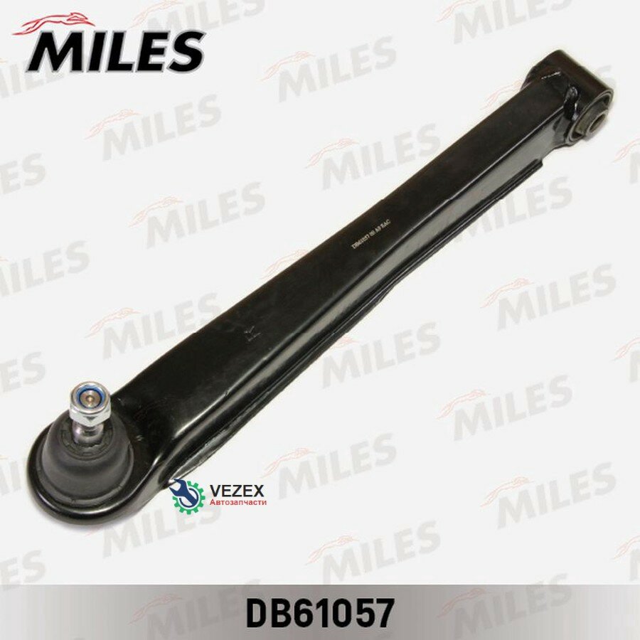 MILES DB61057 Рычаг задней подвески нижний левый/правый HYUNDAI SONATA EF 04- (тагаз)/KIA MAGENTIS (CTR CQKH-49) DB61057