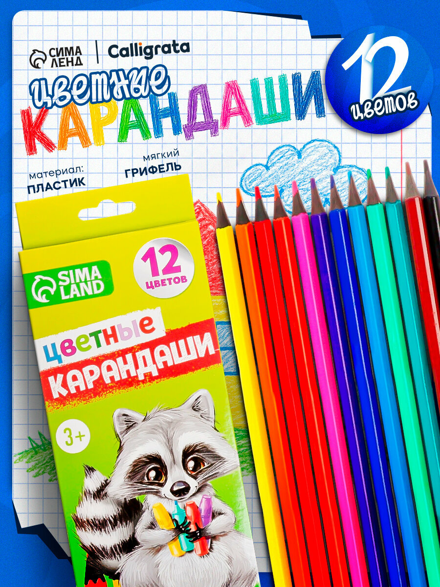 Карандаши цветные заточенные, 12 цветов, в картонной коробке