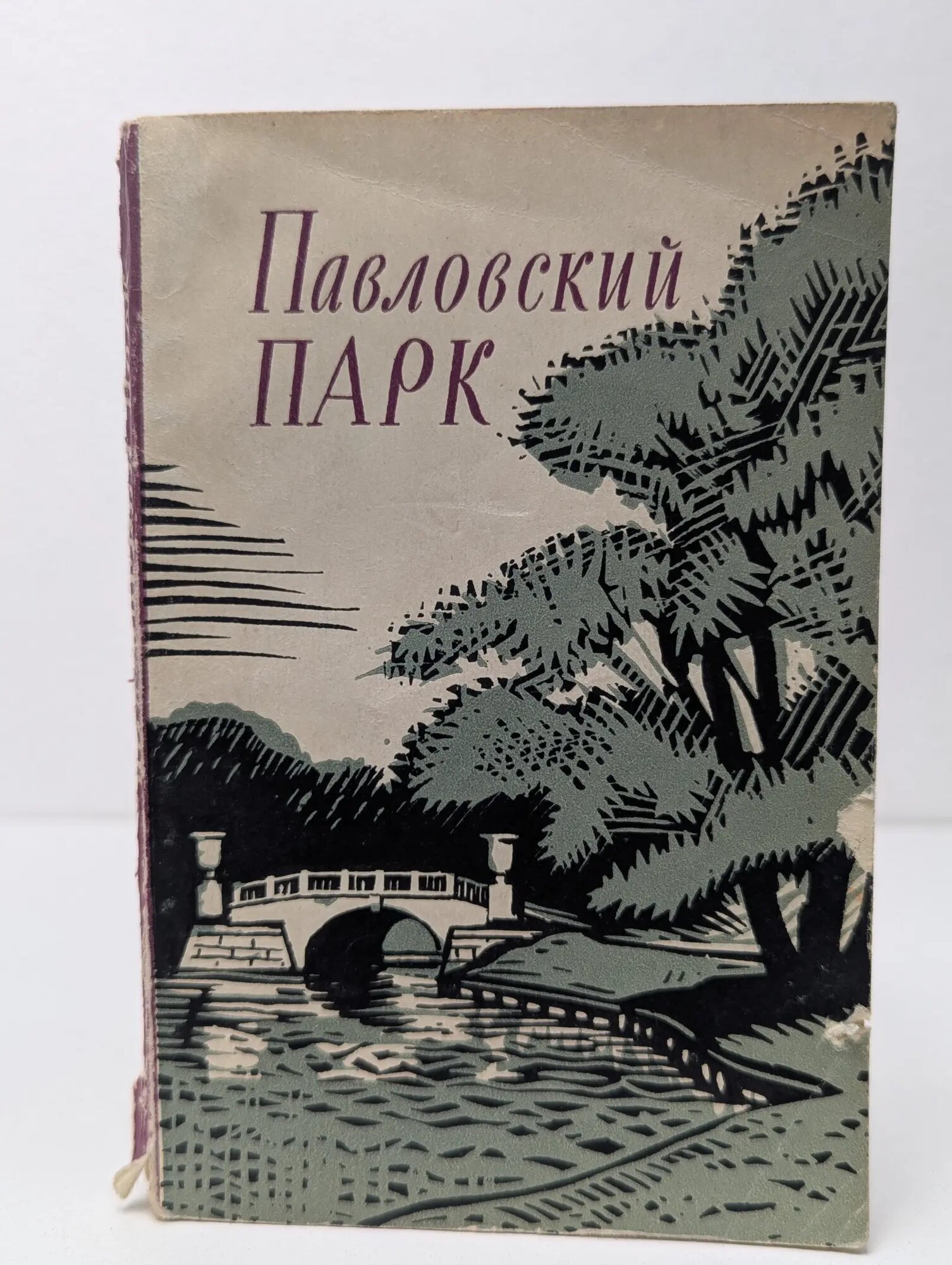 Павловский парк Зеленова Анна Ивановна 1964