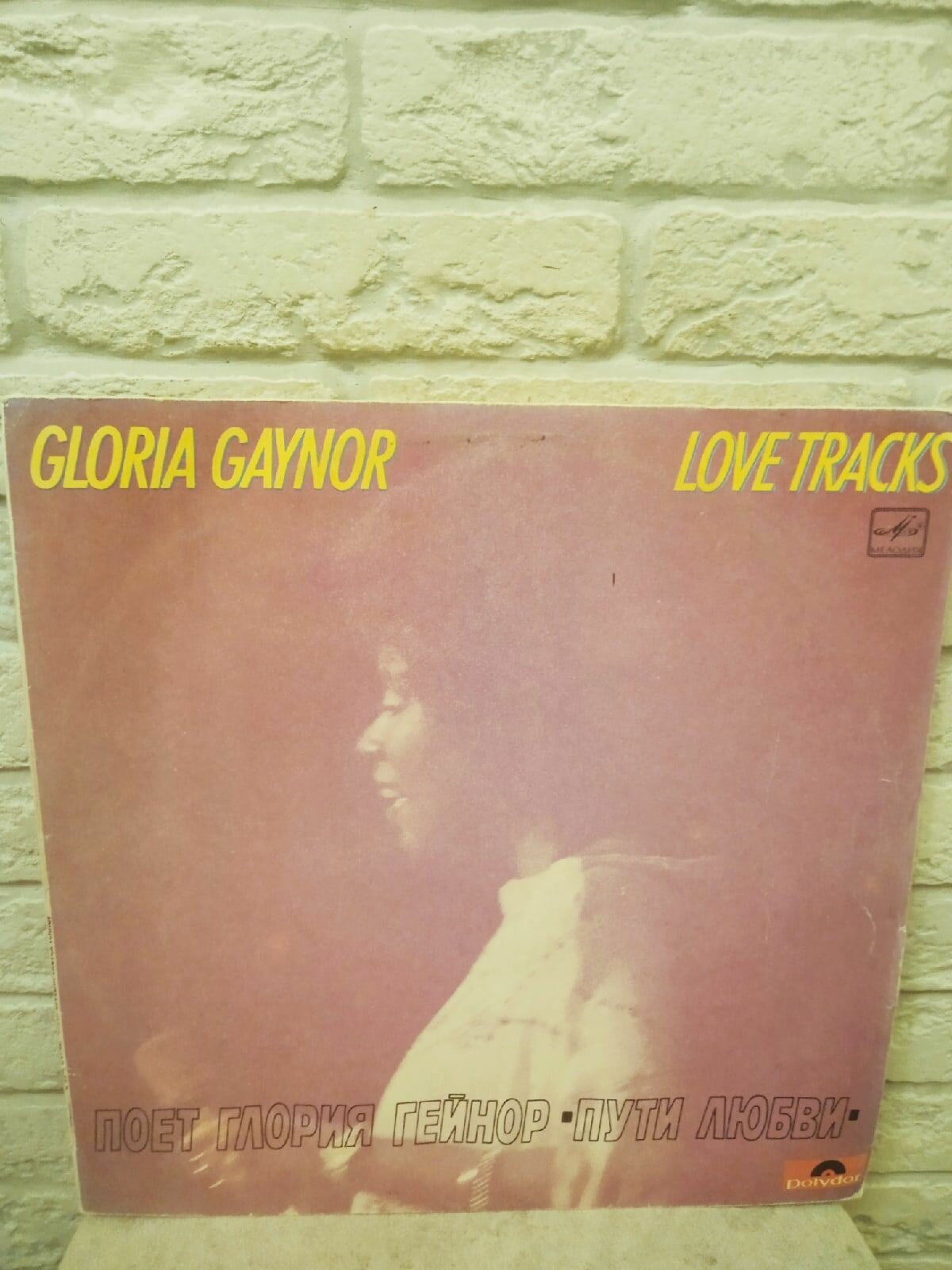 Виниловая пластинка Gloria Gaynor - Пути любви (LP)