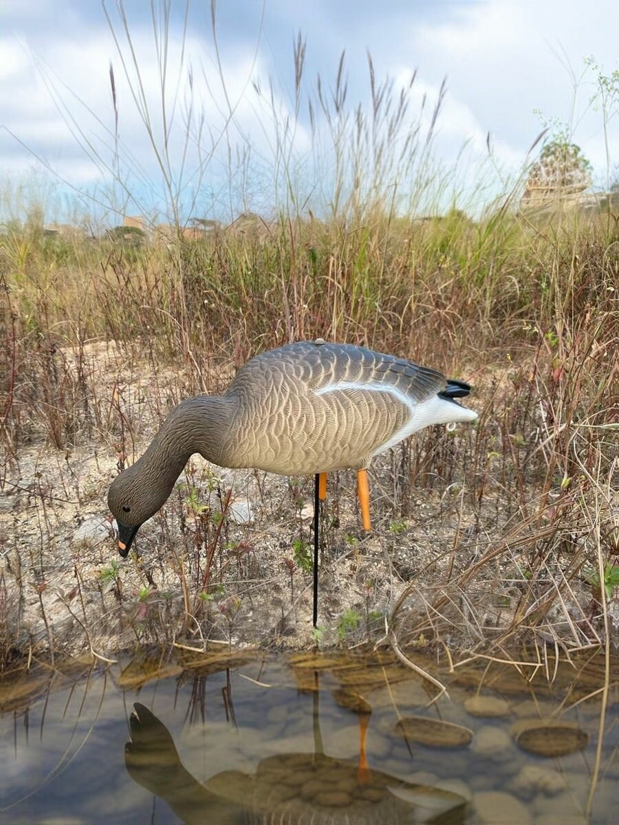 Гуменник гусь OSCAR DECOYS ELITE 3D Bean Goose Мягкий пластик 10 шт (8+2) EGG10